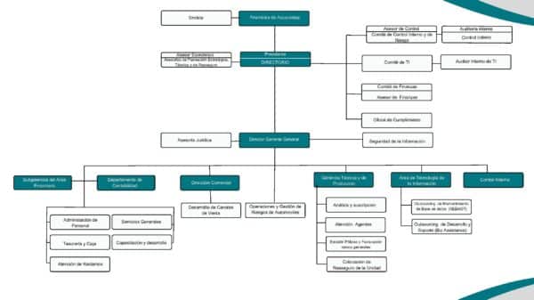 Informe de Calificación de Riesgos – Seguros Segesa
